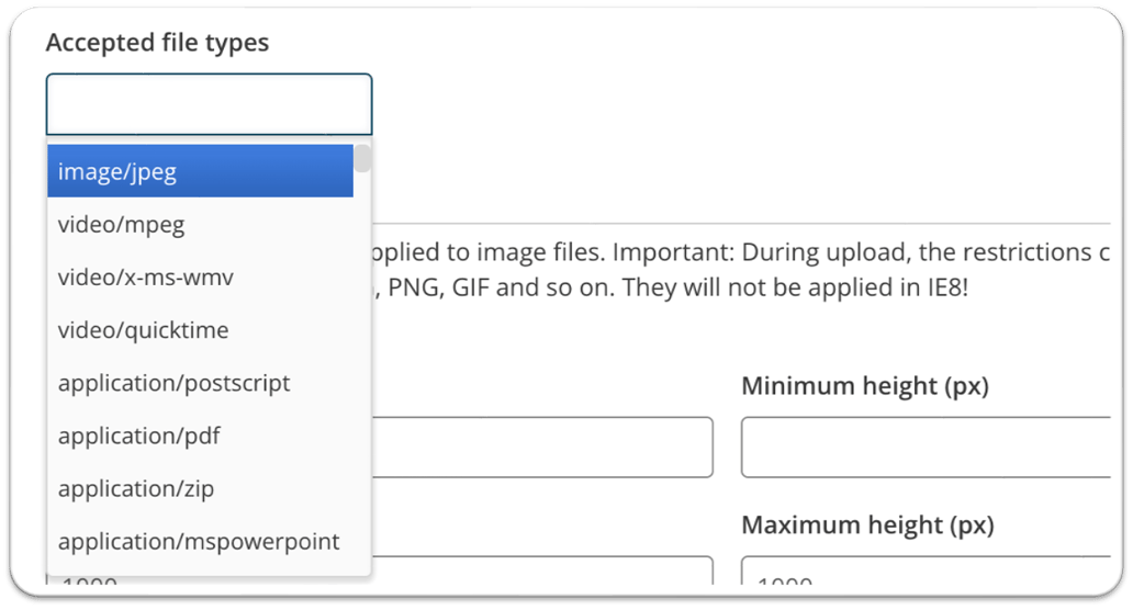How to restrict file types for a category
