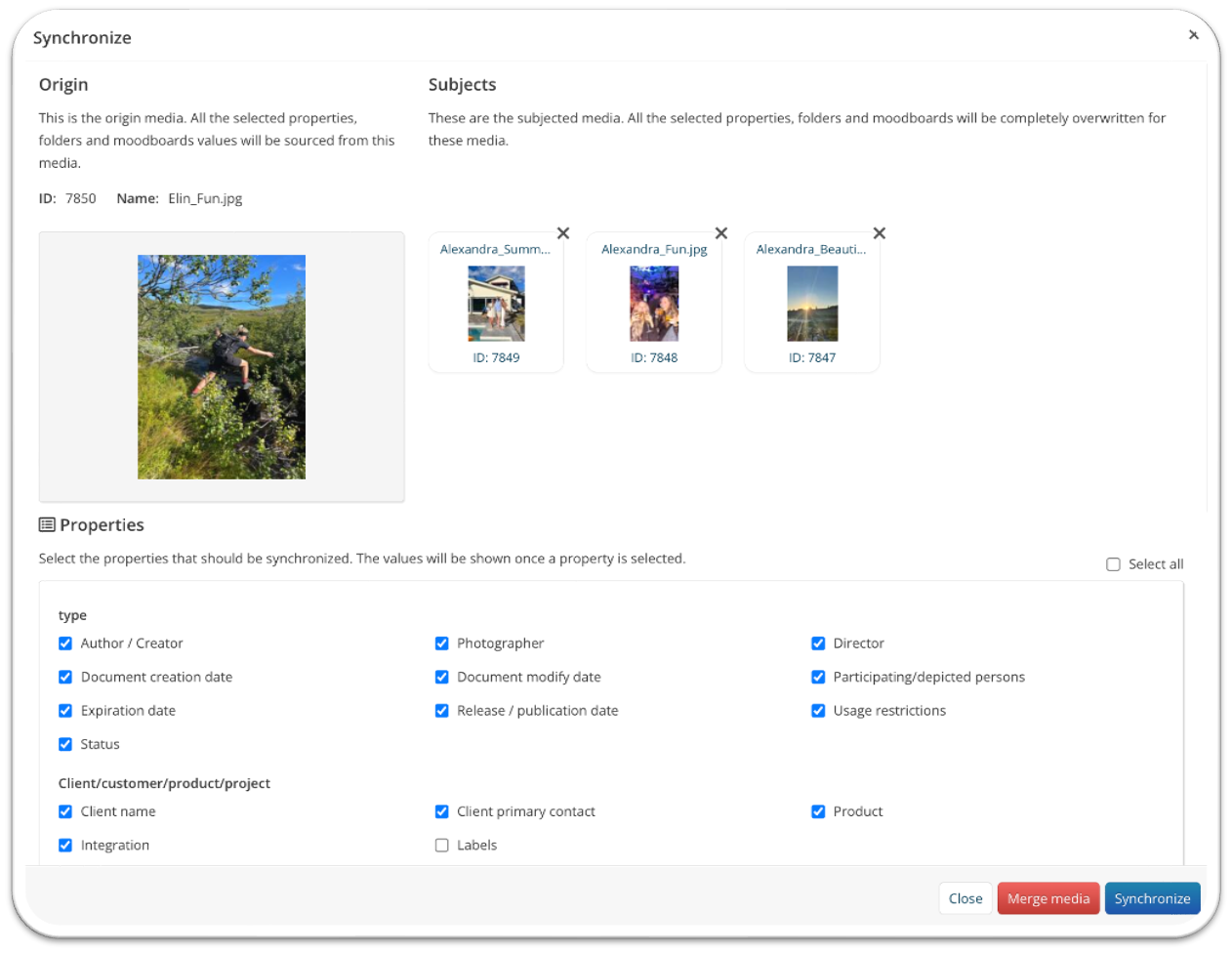 How to use the Synchronize tool?